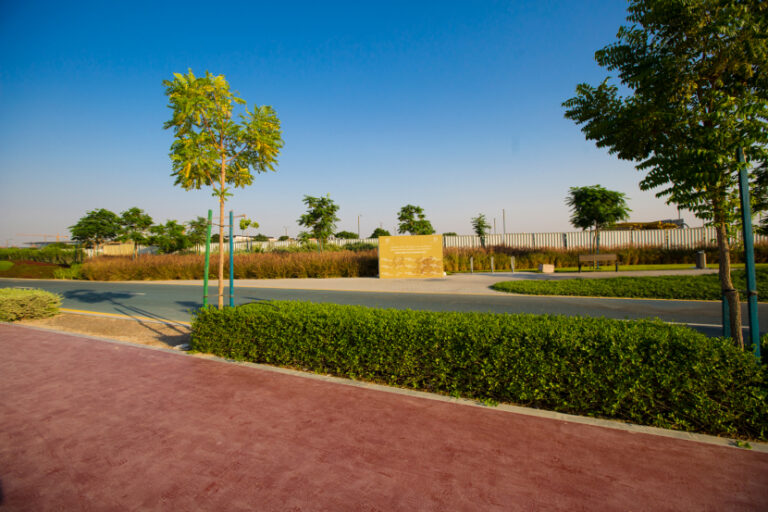Best Running Tracks in Dubai | Scenic Running Locations
